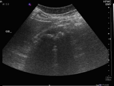Internet Scientific Publications